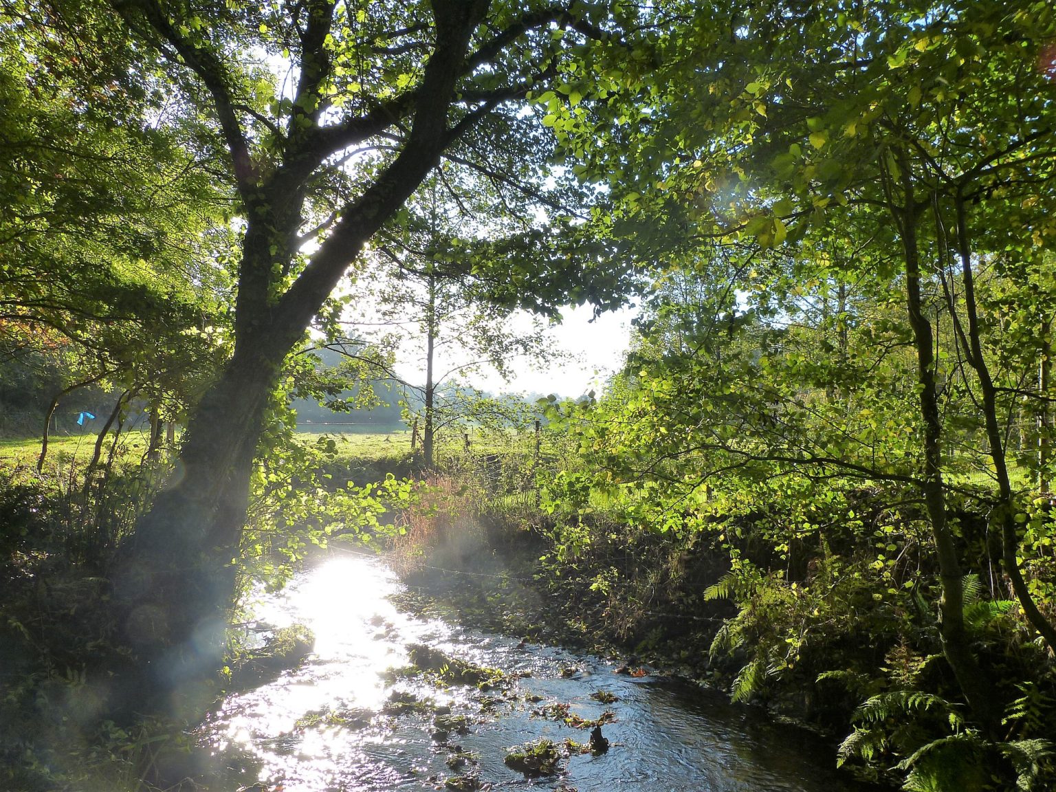 Mairie de Longueville